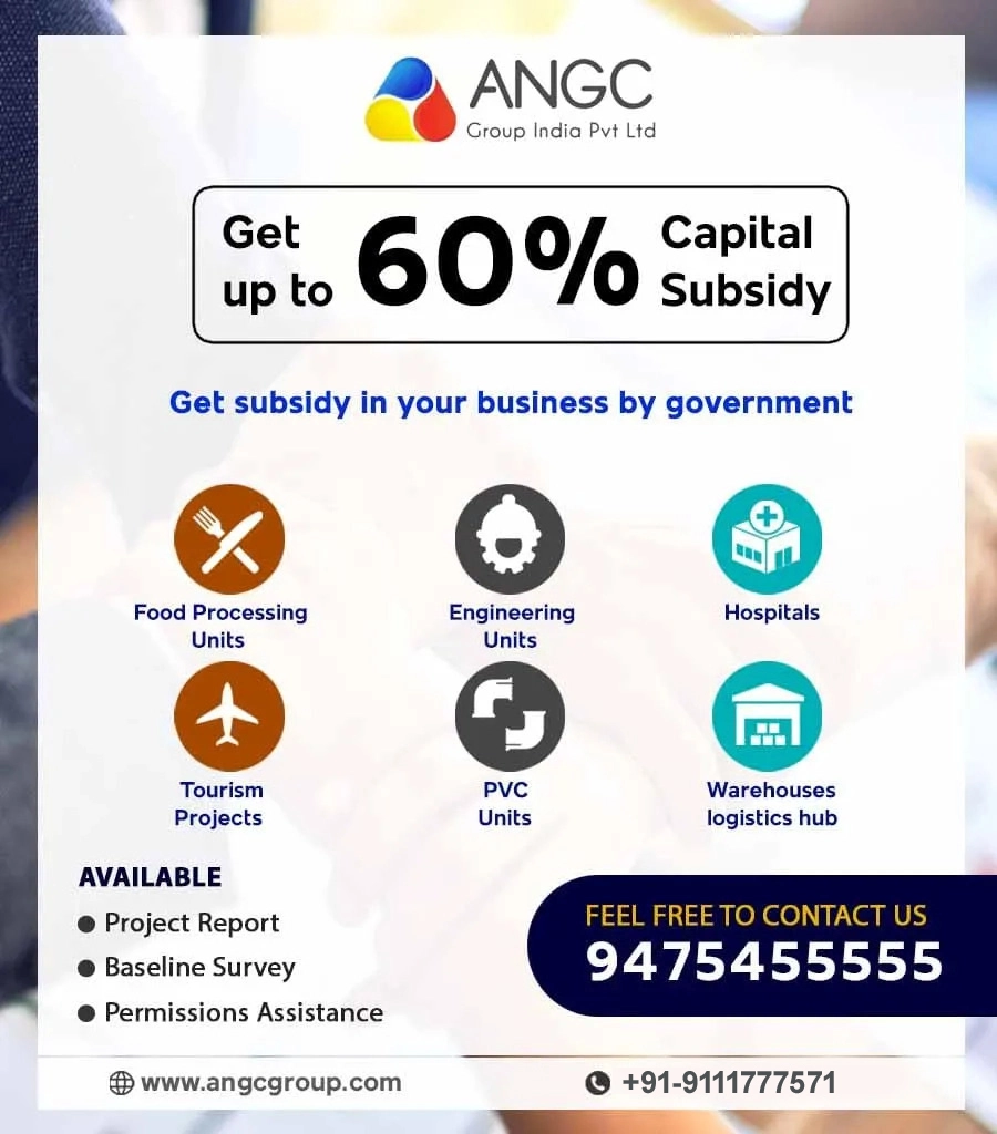 Industry Type & Subsidy ANGC Group | 360⁰ Degree Business Consulting ...